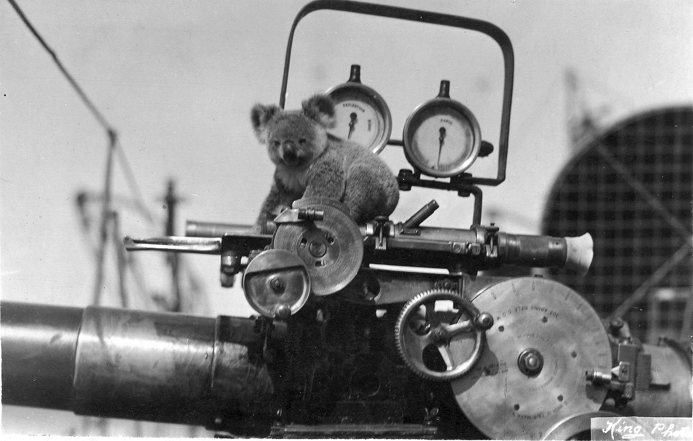 RIAC :: The Koala between the Dragon and the Eagle